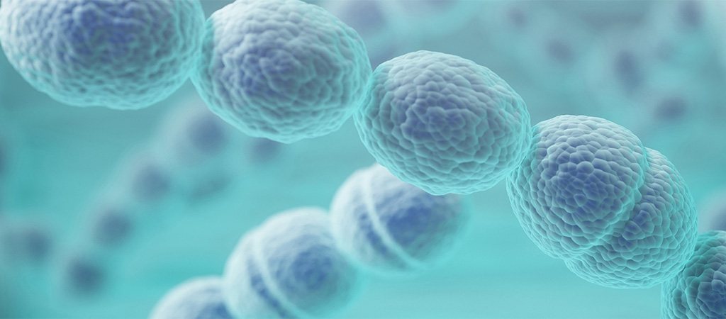 MRGN (Multiresistente Gramnegative Bakterien)