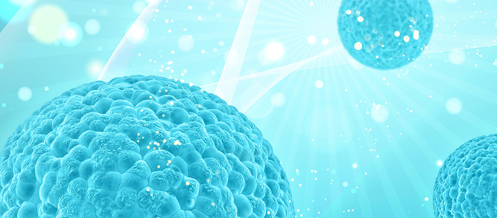 MRSA (Methicillin-Resistente bzw. Multiresistente Staphylococcus aureus)