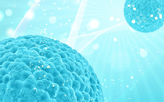 MRGN (Multiresistente Gramnegative Bakterien)